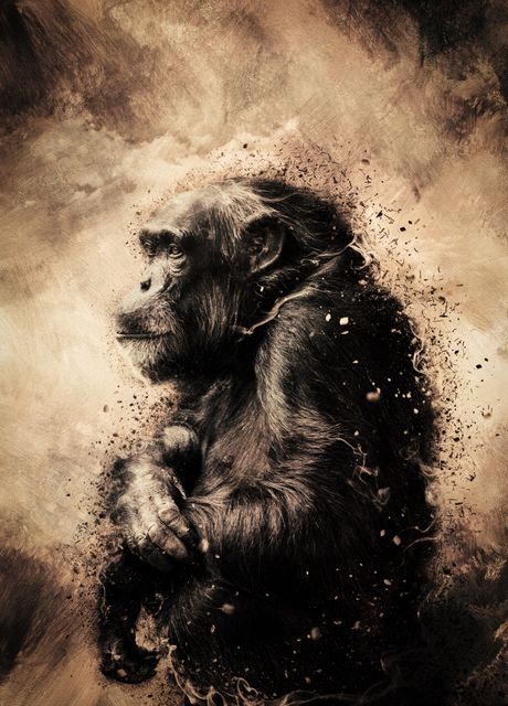 'Contemplating Chimp' Poster by Kilo Byte | Displate