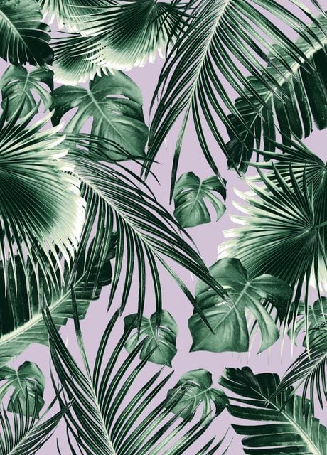 'Tropical Jungle Leaves 8' Poster by Anita's & Bella's Art | Displate