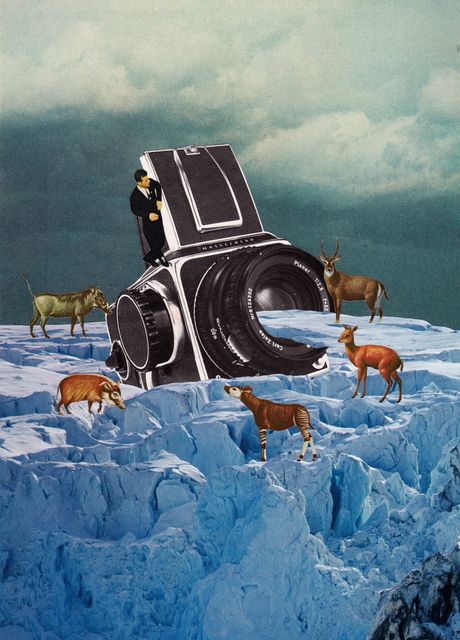 'Cameraman [collage]' Poster by Lerson Pannawit | Displate