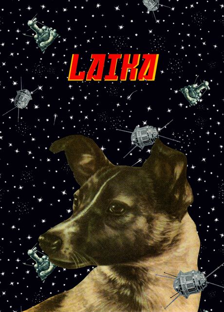 'Laika' Poster by Moon Calendar Studio | Displate