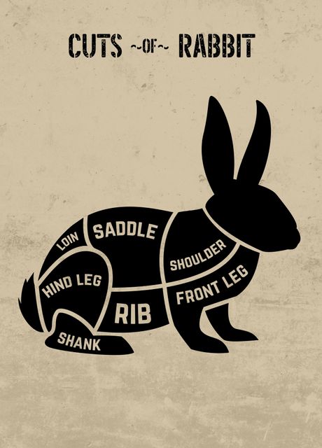'Cuts of Rabbit Chart Light' Poster by Design Turnpike | Displate