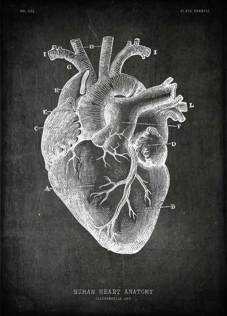 'Human heart' Poster by Yak Yak | Displate