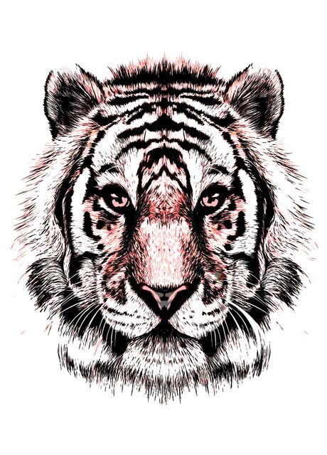 'Grayscale Tiger' Poster by ANDRE MCKAY | Displate