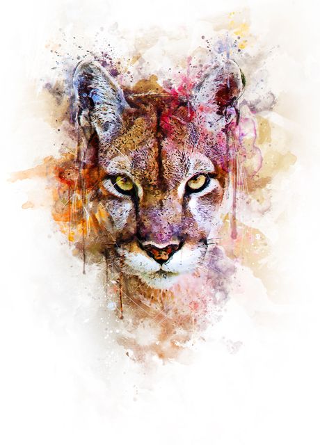 'Puma ' Poster by Cyberframe | Displate