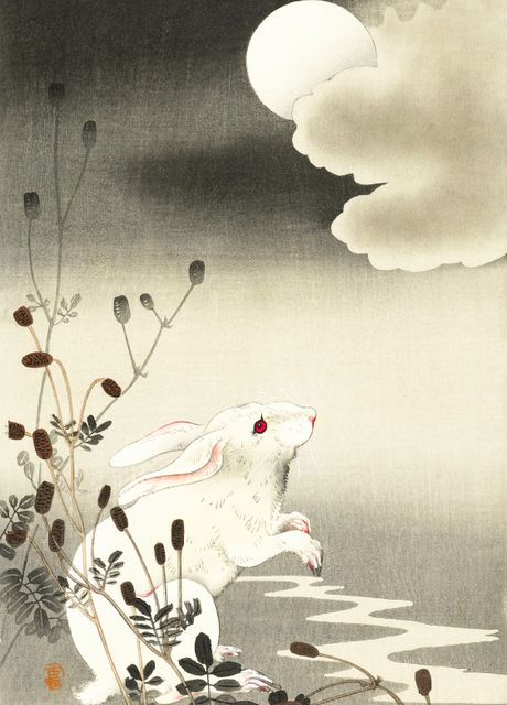 'Bunny and full moon print' Poster by Makanaki | Displate