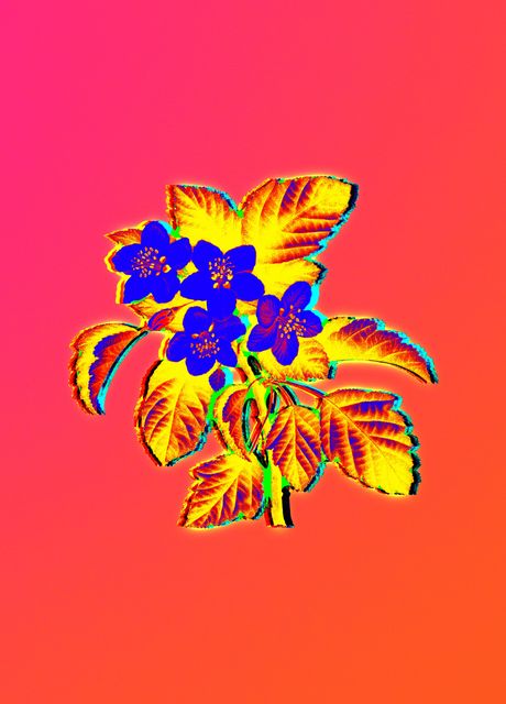 'Neon Flower Illustration' Poster by Holy Rock Design | Displate