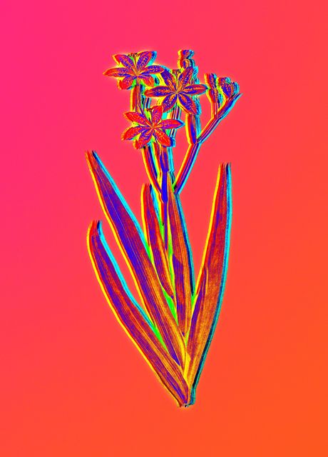 'Neon Flower Painting Pink' Poster by Holy Rock Design | Displate