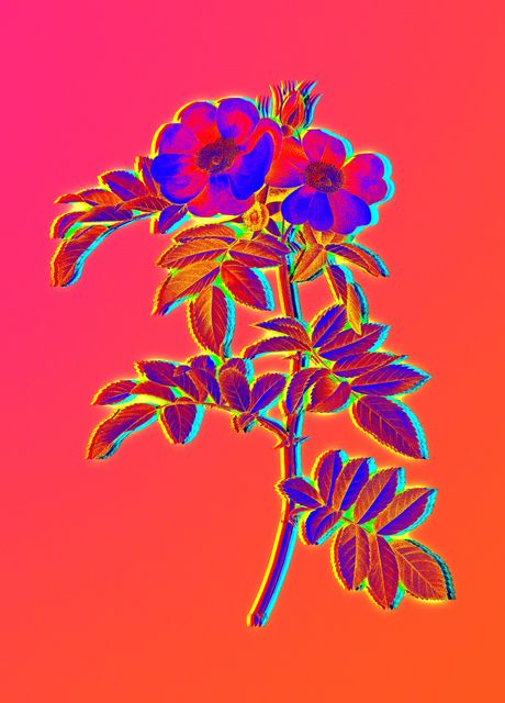 'Neon Flower Painting Pink' Poster by Holy Rock Design | Displate