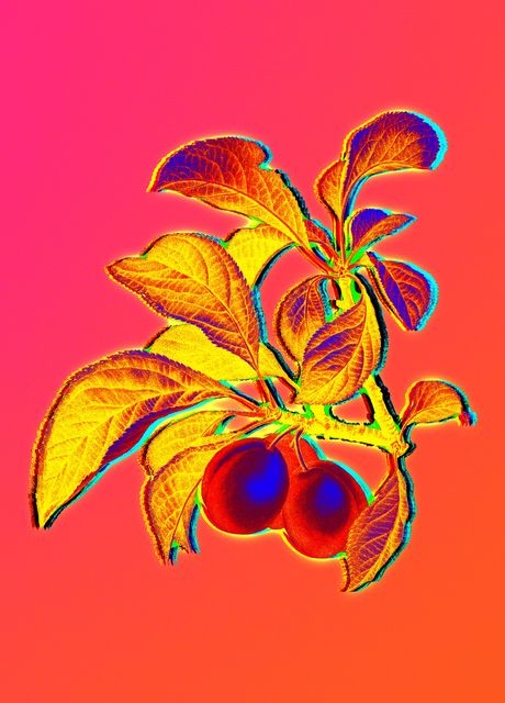 'Neon Botanical Painting' Poster by Holy Rock Design | Displate