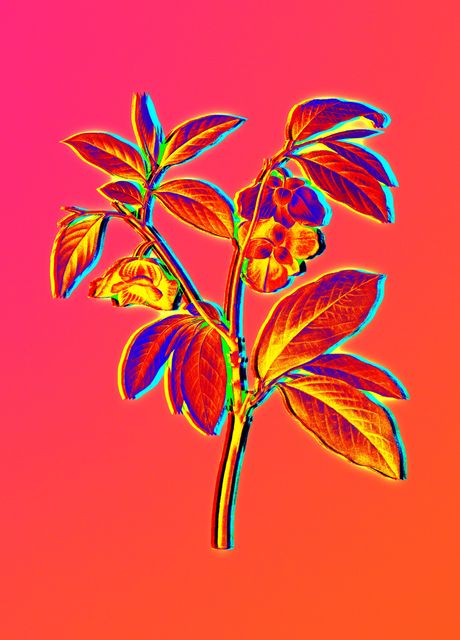 'Neon Flower Illustration' Poster by Holy Rock Design | Displate