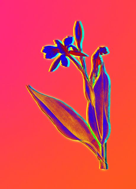 'Neon Botanical Drawing' Poster by Holy Rock Design | Displate