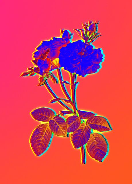'Neon Floral Illustration' Poster by Holy Rock Design | Displate