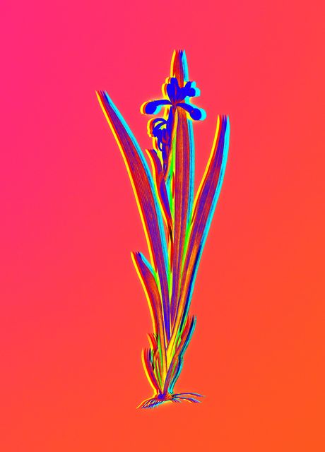 'Neon Flower Illustration' Poster by Holy Rock Design | Displate