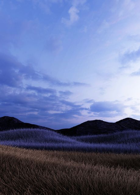 'Grassland' Poster by Aivaras Grauzinis | Displate