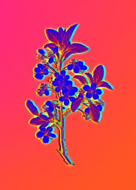 'Neon Flower Illustration' Poster by Holy Rock Design | Displate