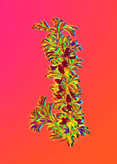 'Neon Botanical Flower' Poster by Holy Rock Design | Displate