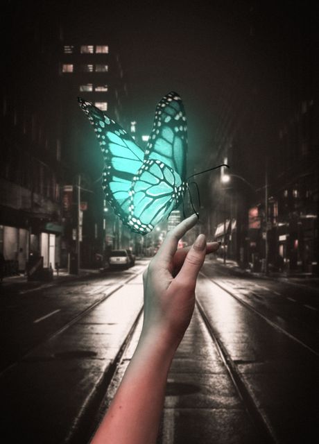 'City Life' Poster by Kavan Siridemuni | Displate