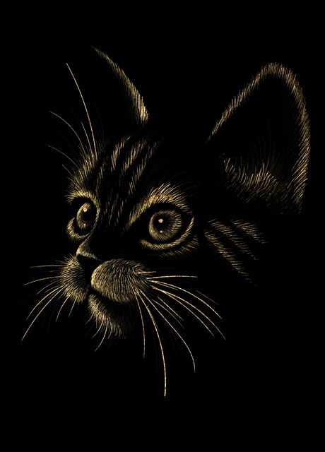 'gold cat' Poster by Queensy Collin | Displate