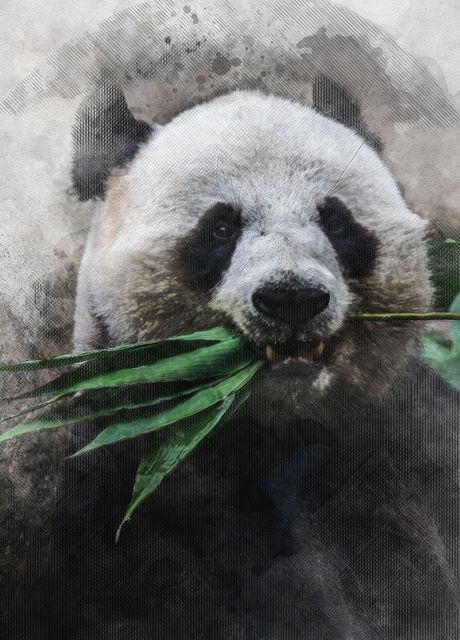 'Watercolour Panda' Poster by Fanfreak | Displate