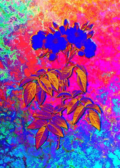 'Acid Neon Flower Drawing' Poster by Holy Rock Design | Displate