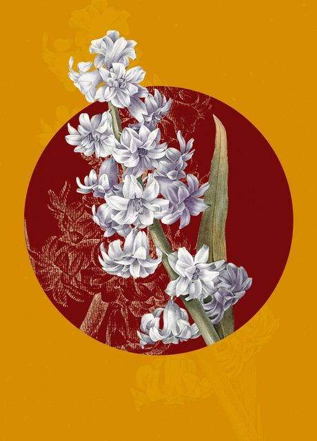 'Hyacinth' Poster, picture, metal print, paint by Holy Rock Design ...