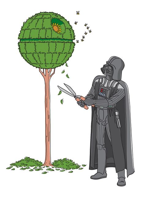 'Tree' Poster by Star Wars | Displate