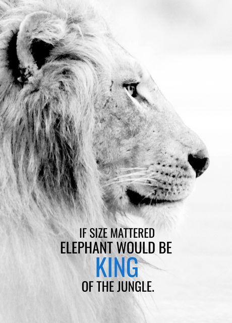 'Size doesnt Matter' Poster by Millionaire Quotes | Displate