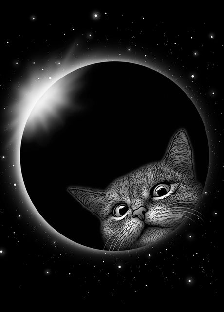 'ECLIPSE CAT' Poster by Adam Lawless | Displate