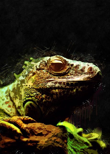 'Iguana' Poster by Petra Rommelfanger | Displate