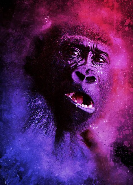 'Gorilla' Poster by Petra Rommelfanger | Displate