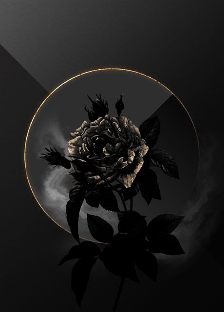 'Shadow Rose Black and Gold' Poster by Holy Rock Design | Displate