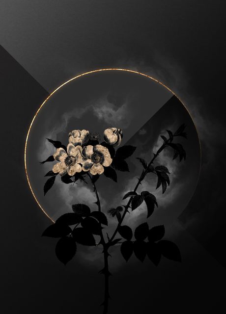 'Shadow Rose Black and Gold' Poster by Holy Rock Design | Displate