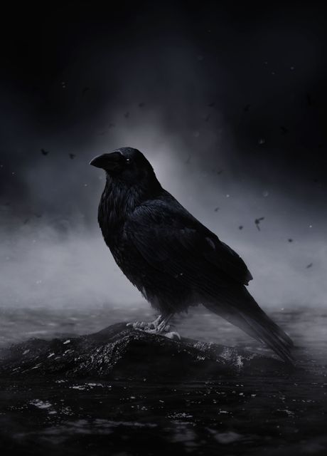 'Raven in the Fog' Poster, picture, metal print, paint by ...