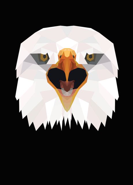 'Eagle Bird' Poster by Oliver Herlemann | Displate