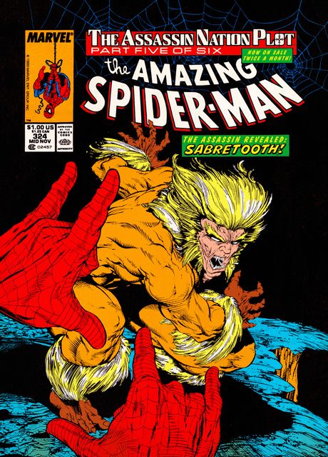 'Sabertooth' Poster, picture, metal print, paint by Marvel | Displate