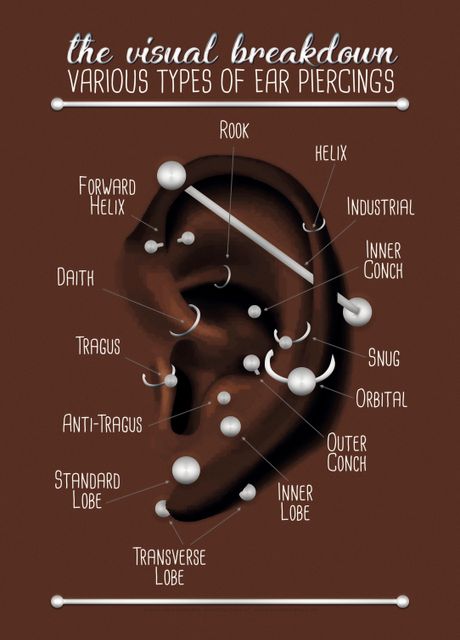 'Ear Piercing Chart Dark' Poster by Jarrod Vandenberg | Displate