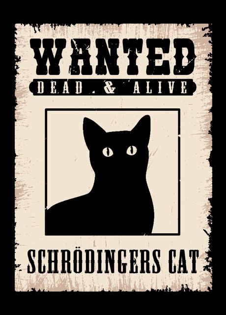'Schrdingers Cat Wanted' Poster by schmugo | Displate