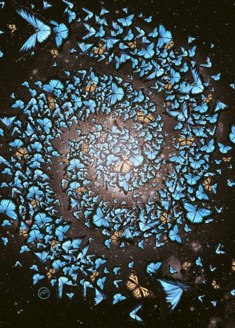 'Butterfly Galaxy' Poster by Paula Belle Flores | Displate