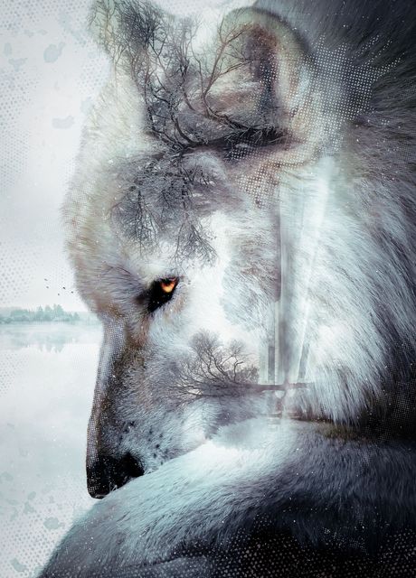'Winter Wolf' Poster by Kilo Byte | Displate