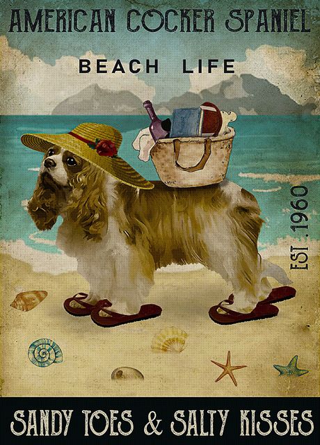 'American Cocker Spaniel' Poster by Ron Studio | Displate