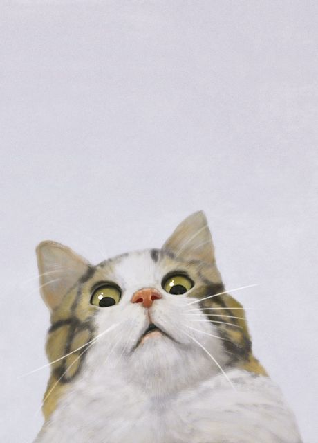'Scared Cat Meme' Poster by Mashz | Displate