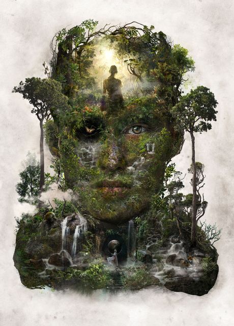 'Forest of Space Time' Poster by Barrett Biggers | Displate