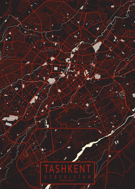 'Tashkent City Map Vector' Poster by deMAP Studio | Displate