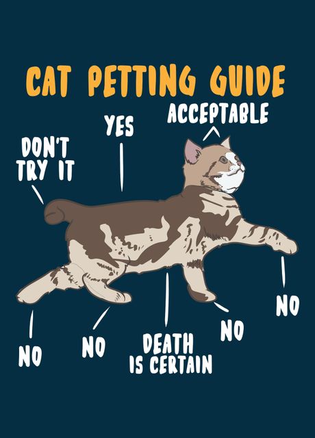 'Cat Petting Guide' Poster by PiolettaArt | Displate