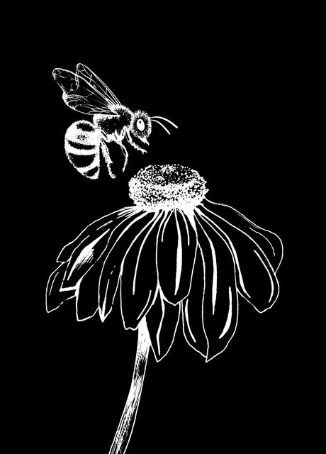 'Bee with sun flowers' Poster by Hype Sign | Displate