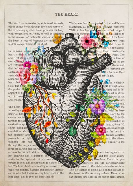 'Heart Anatomy' Poster by Aged Pixel | Displate