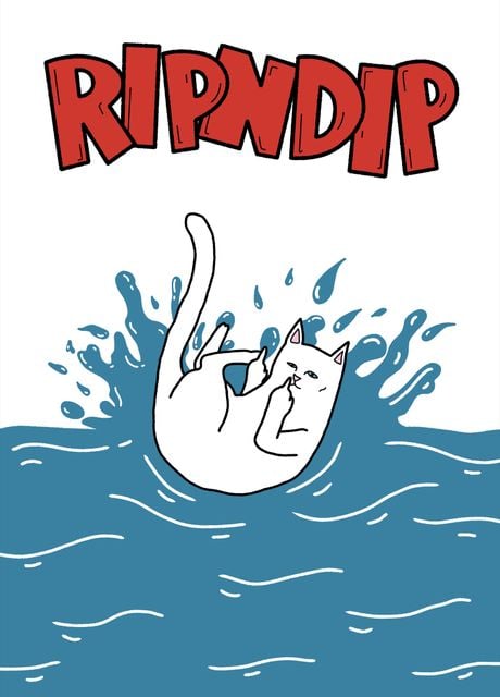 'hypecat swimming' Poster by Erico plok | Displate