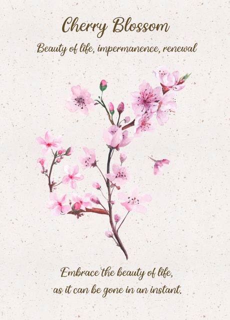 'Cherry Blossom Sakura' Poster by XandYart | Displate