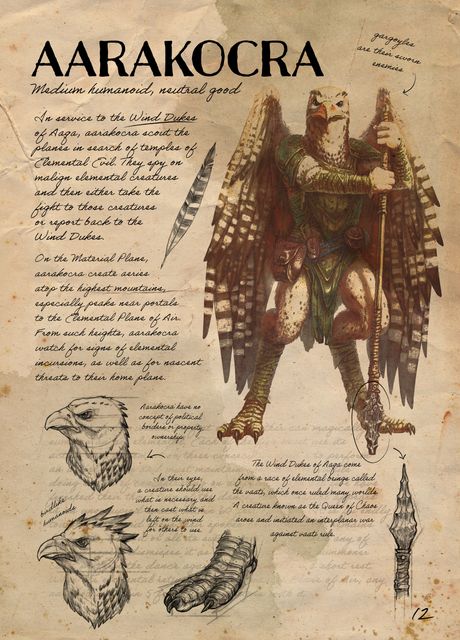 'Aarakocra Note' Poster, picture, metal print, paint by Dungeons and ...