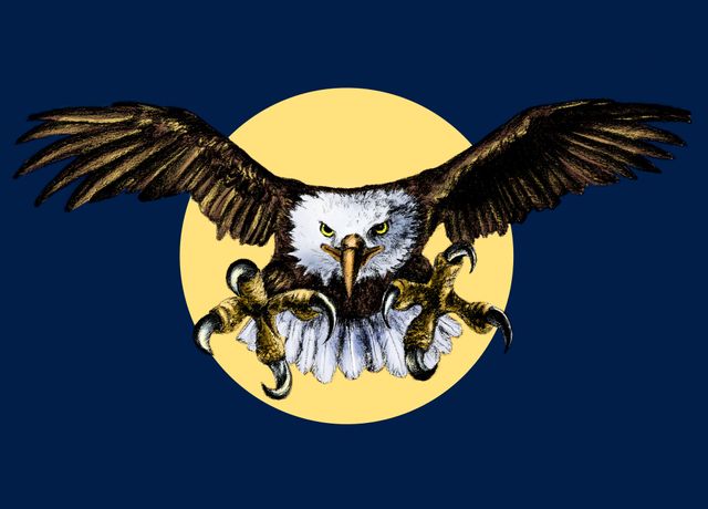 'Eagle' Poster, picture, metal print, paint by Anna Shell | Displate